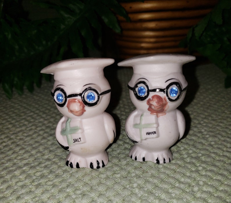 Rare! Vintage "woods" the OWL Professor Salt and Pepper Shaker Lefton ...