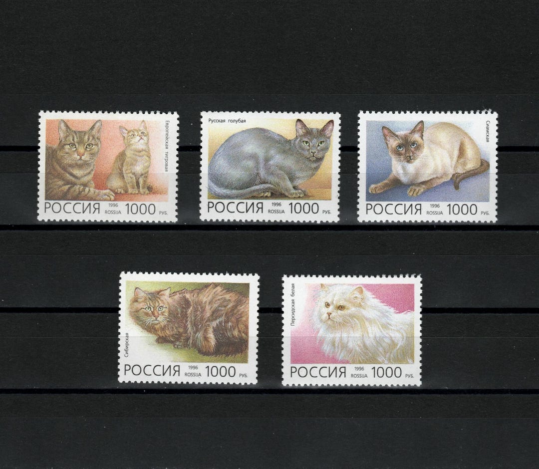 Russia Postage Stamps - 1996 - Beautiful Cats on Stamps - Complete Set ...