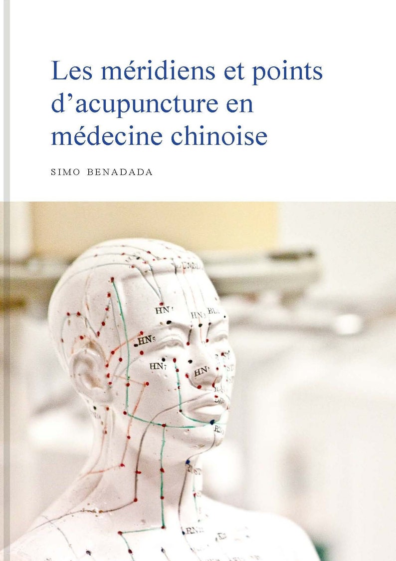 Meridians and Acupuncture Points in Traditional Chinese Medicine - Etsy