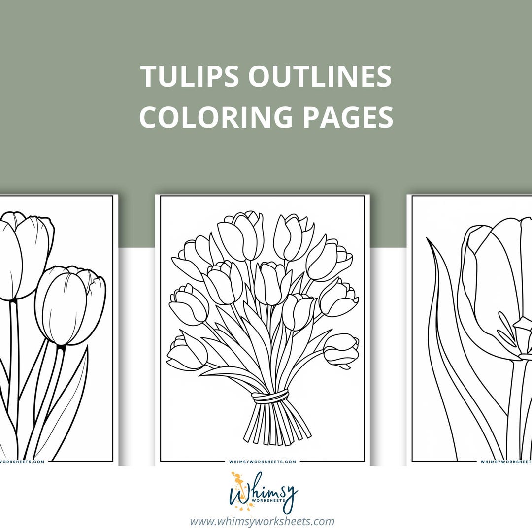 80 Tulip Coloring Pages | Floral Outline Art for Adults & Kids (PDF) - Etsy
