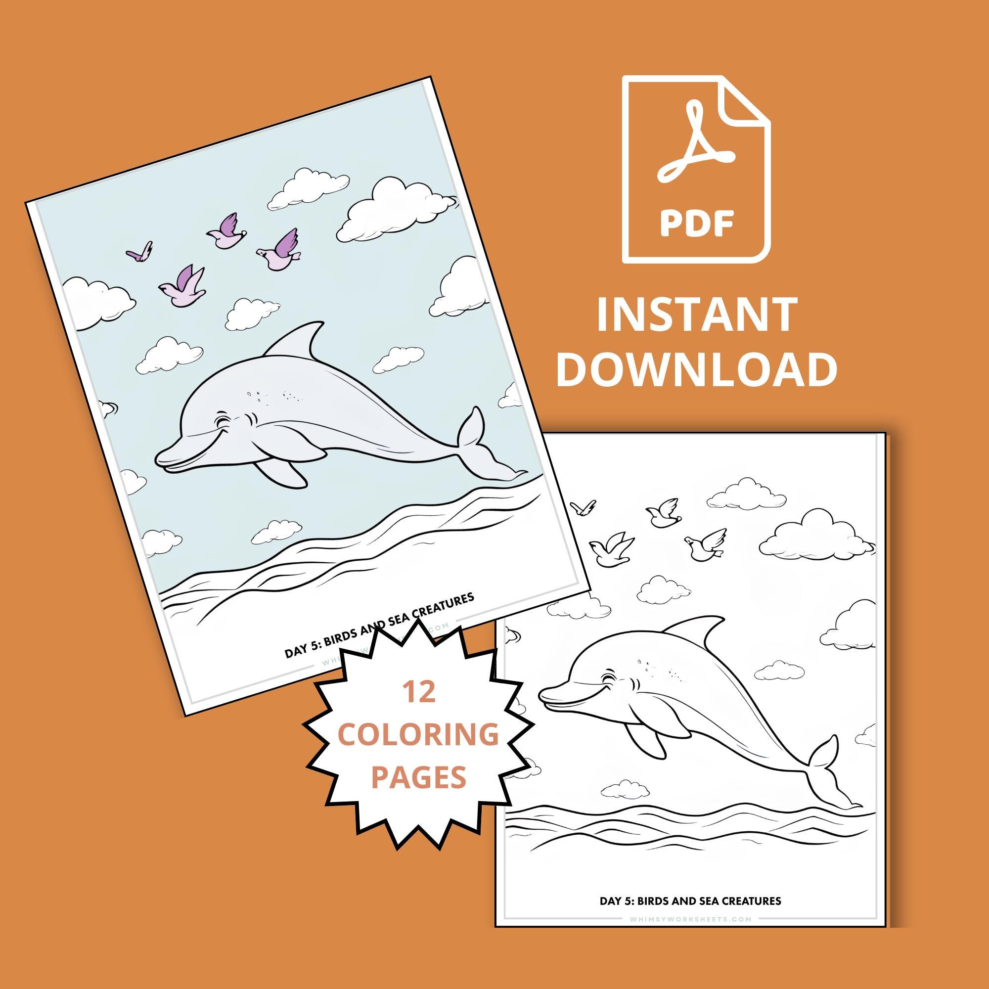 Christian Printable Bundles | Creation Story Coloring Page, Sunday ...