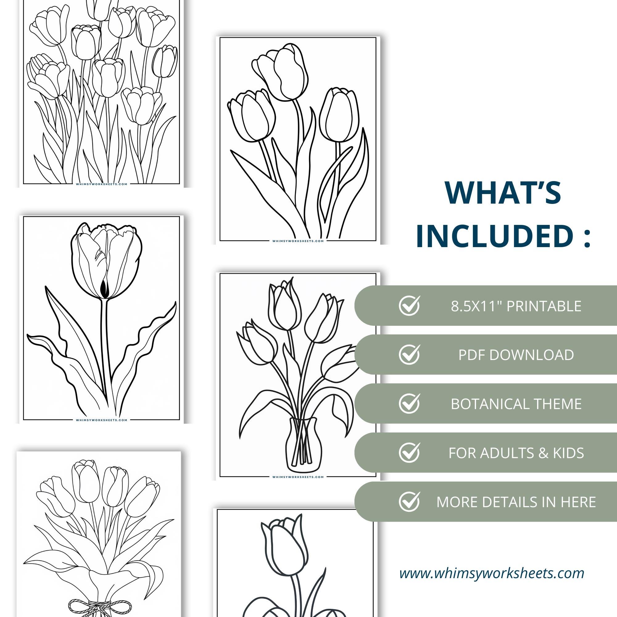 80 Tulip Coloring Pages | Floral Outline Art for Adults & Kids (PDF) - Etsy