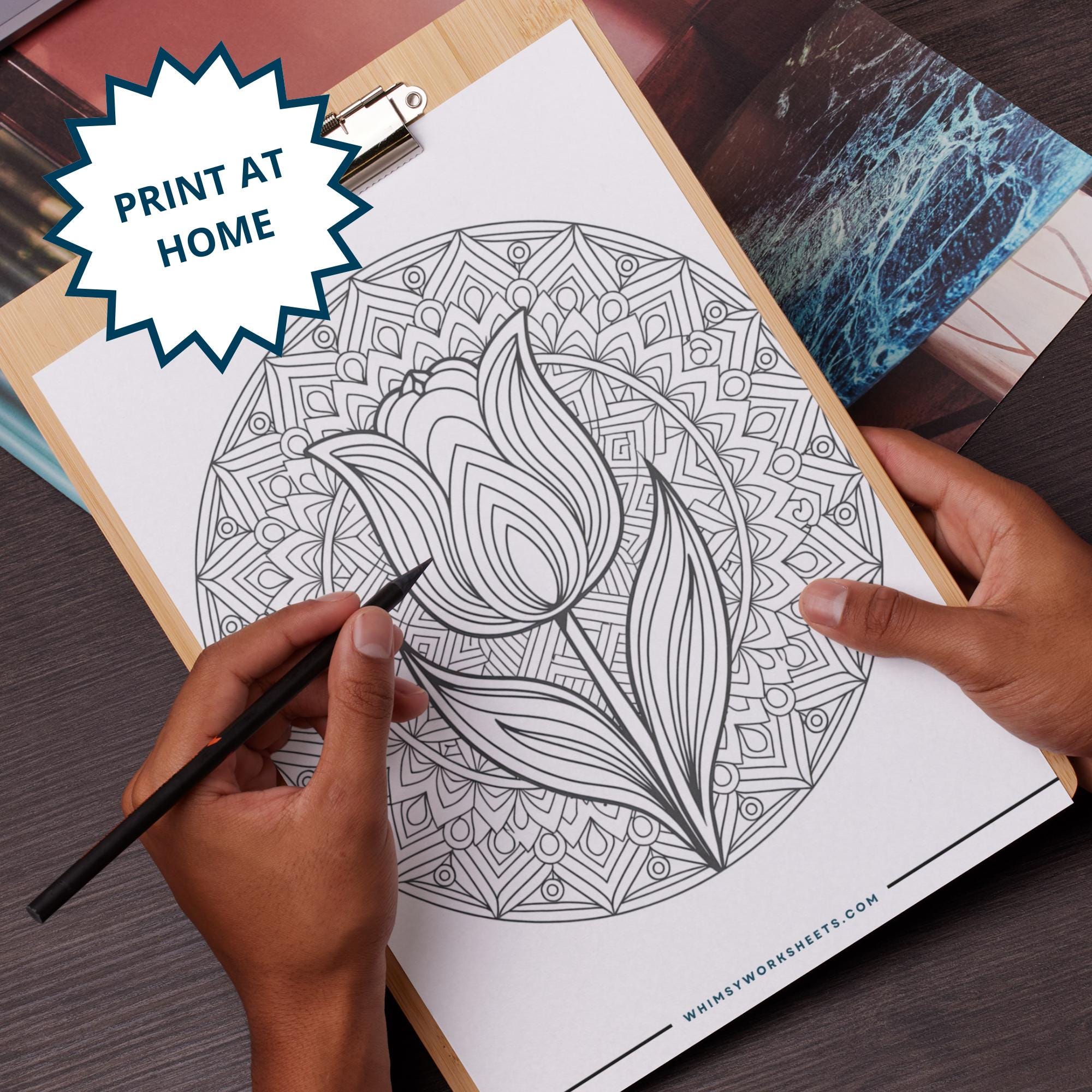 60 Tulip Mandala Coloring Pages | Relaxing Art Designs (digital ...