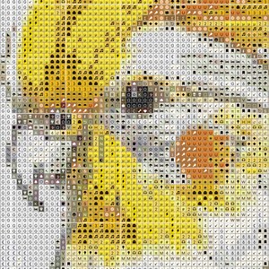 Cockatiel in Flowers Cross Stitch Pattern - Etsy