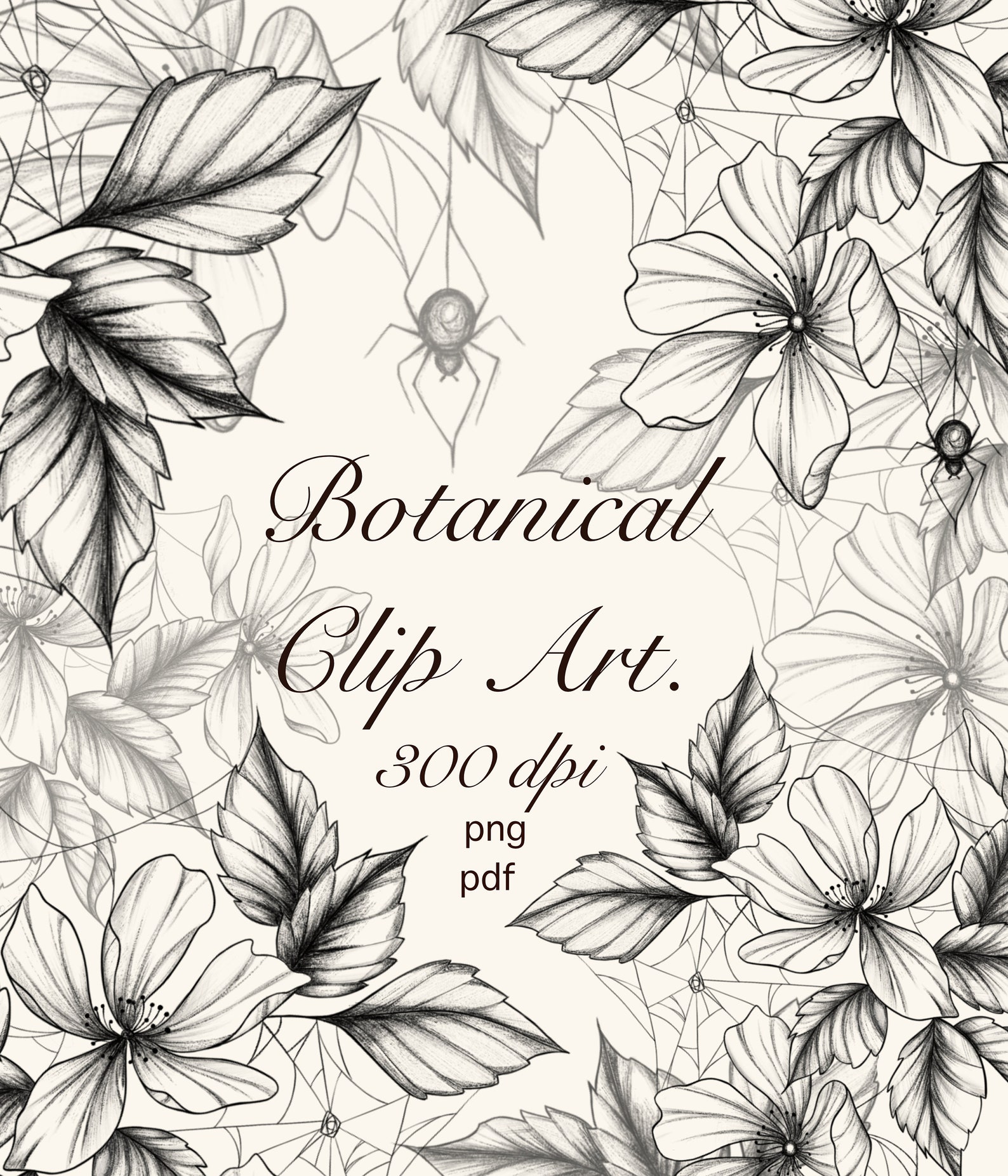 Botanical Clipart, Clip Art, Hand Drawn, Botanical Graphics, Floral ...