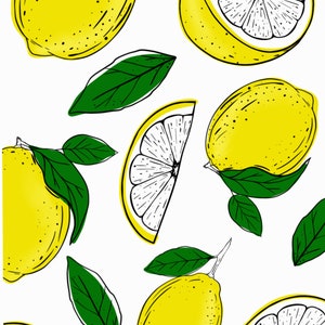 Lemon PNG, Line Art Drawing, Botanical Line Art, Lemon Clipart, Line ...