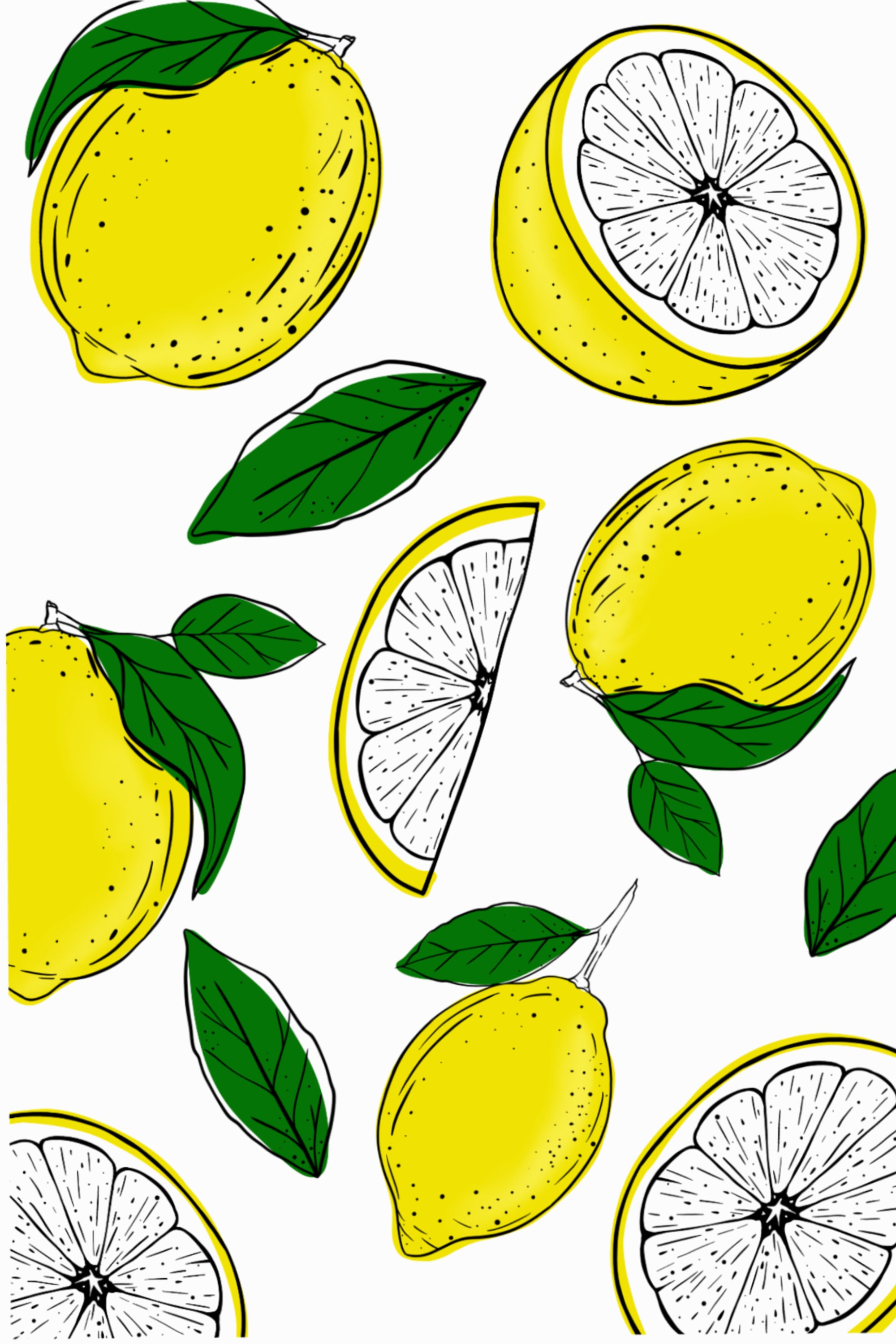 Lemon PNG, Line Art Drawing, Botanical Line Art, Lemon Clipart, Line ...