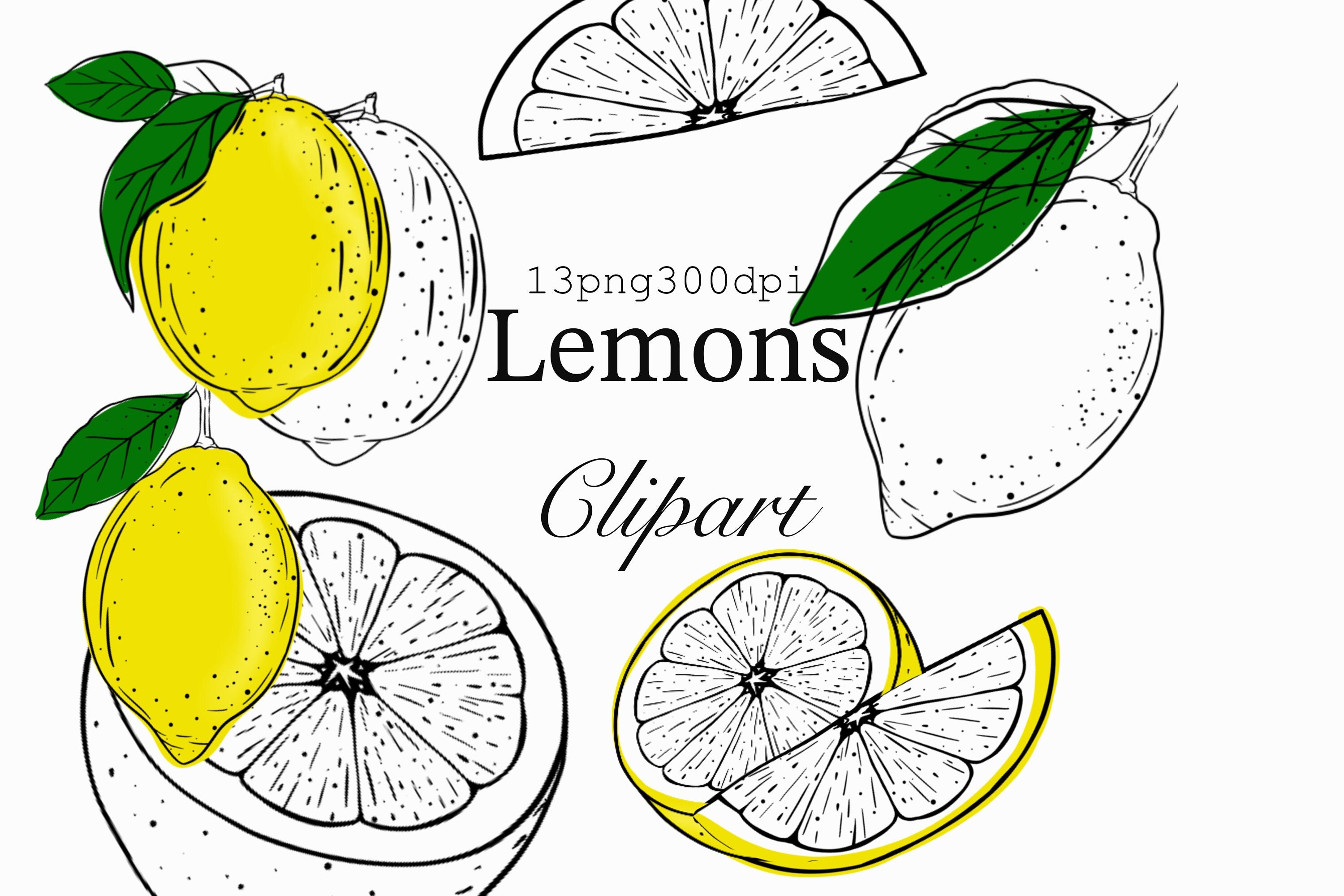 Lemon PNG, Line Art Drawing, Botanical Line Art, Lemon Clipart, Line ...