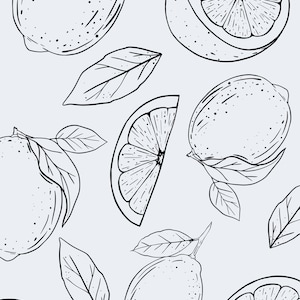 Lemon PNG, Line Art Drawing, Botanical Line Art, Lemon Clipart, Line ...
