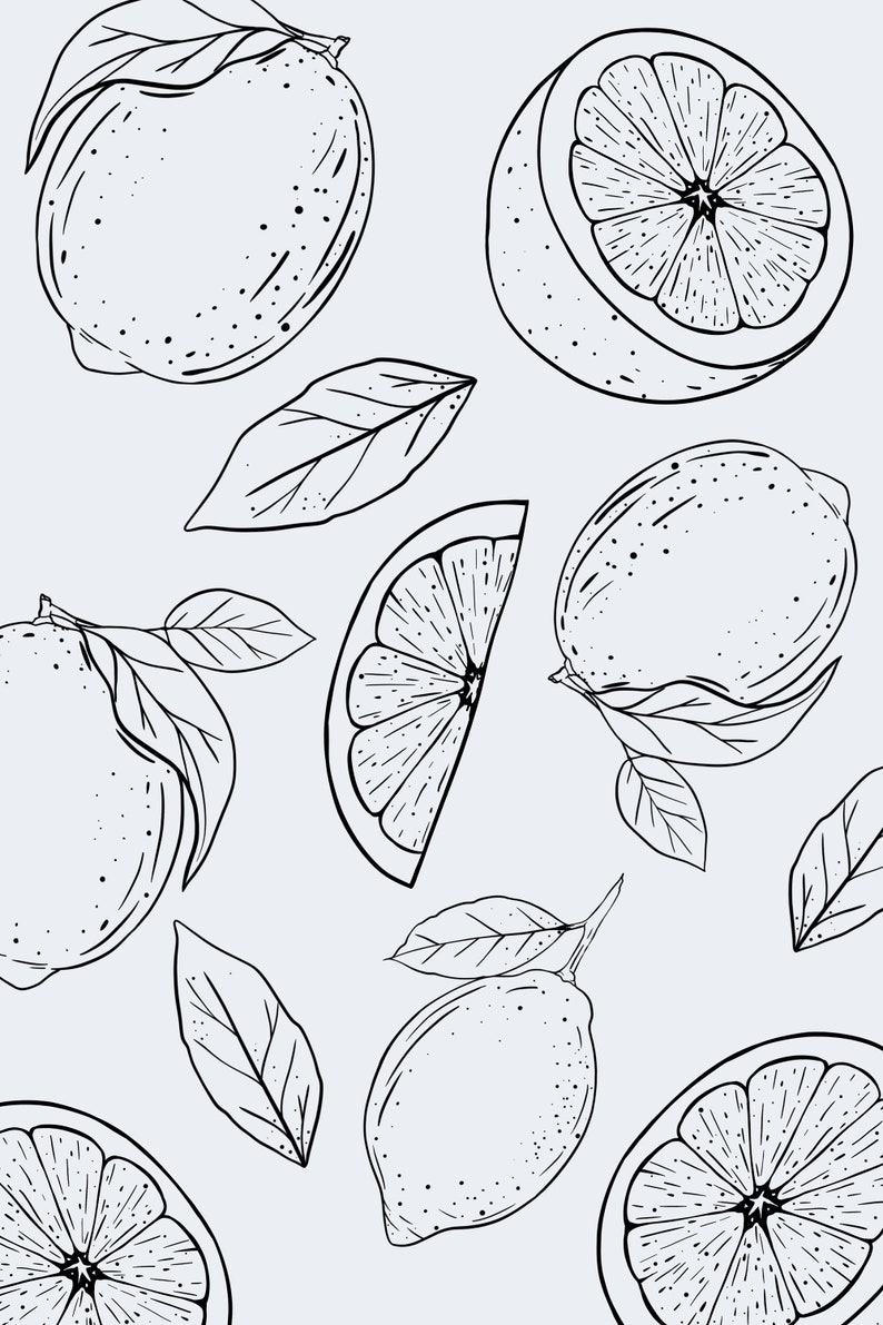 Lemon PNG, Line Art Drawing, Botanical Line Art, Lemon Clipart, Line ...