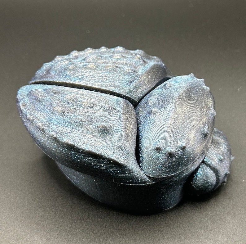 Beetle Box Organizer - Etsy