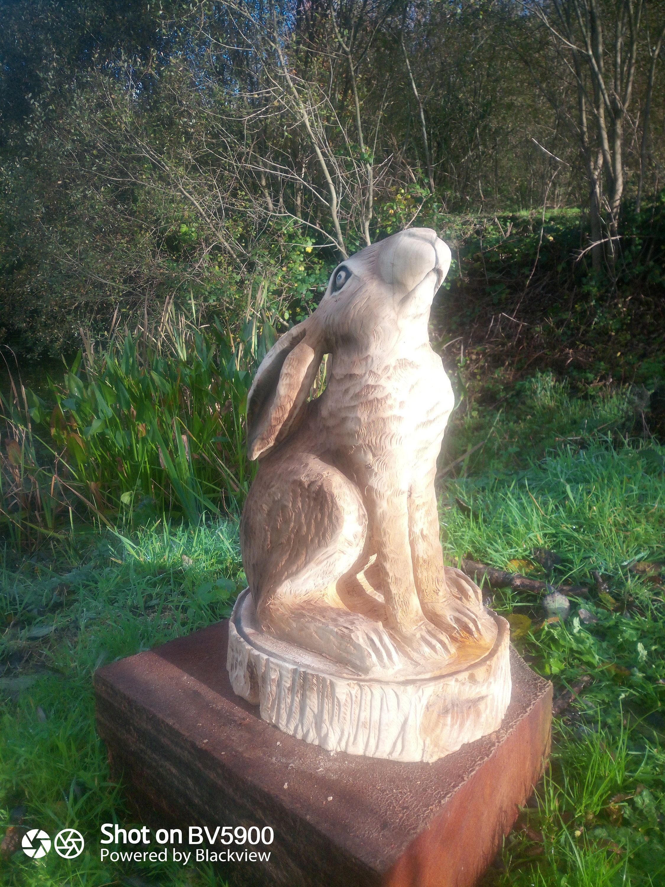 Moon Gazing Hare Chainsaw Sculpture - Etsy UK