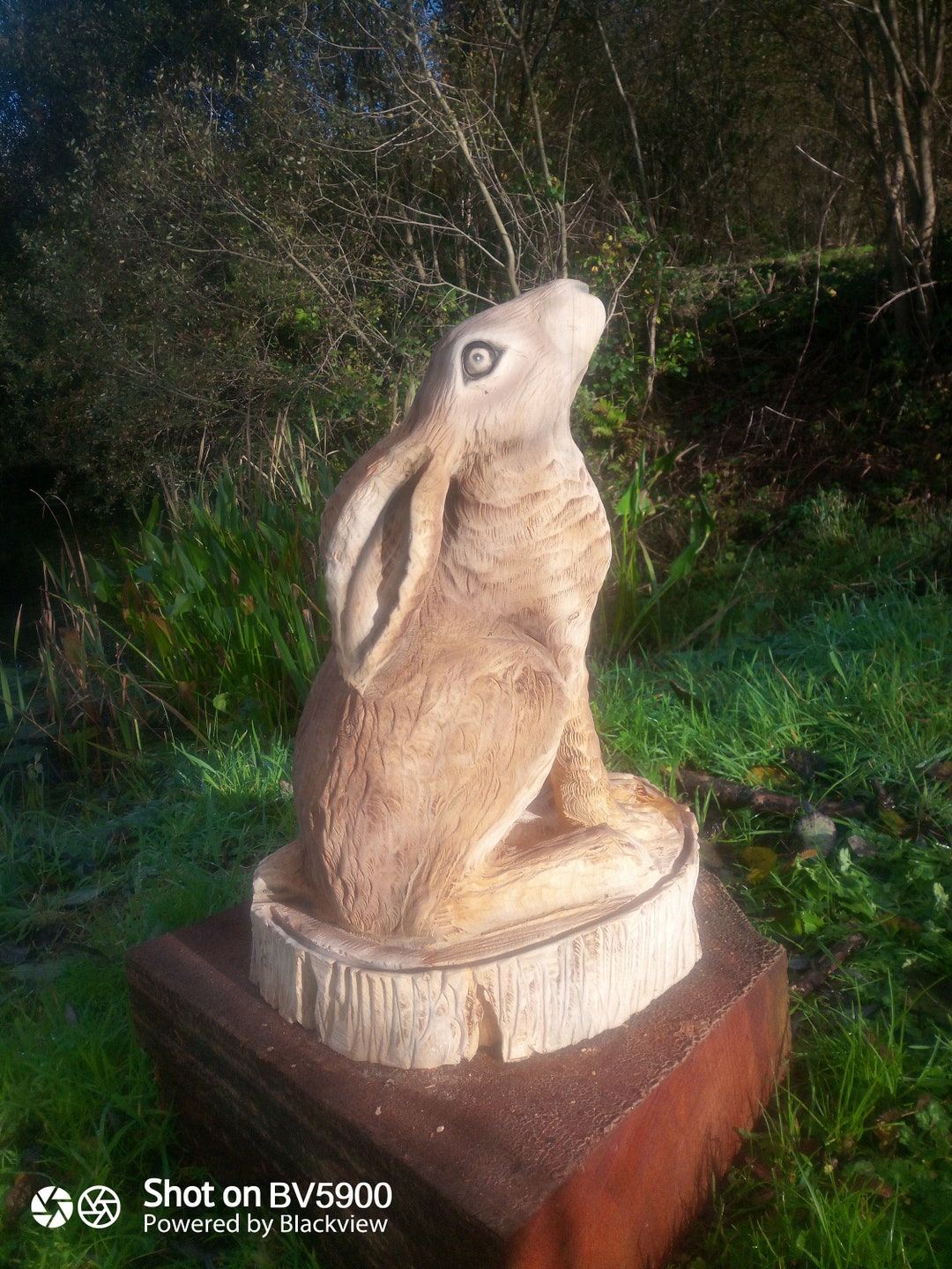 Moon Gazing Hare Chainsaw Sculpture - Etsy UK