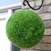 Topiary Moss - Etsy
