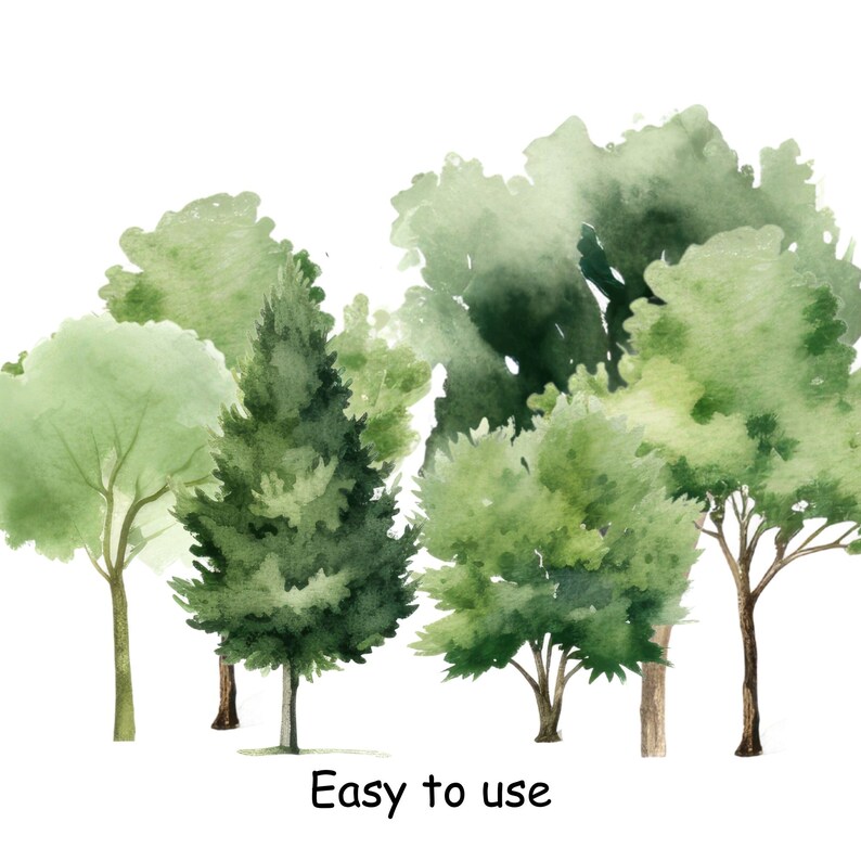 Watercolor Different Types of Trees Bundle PNG, Trees Clip Art, Digital ...