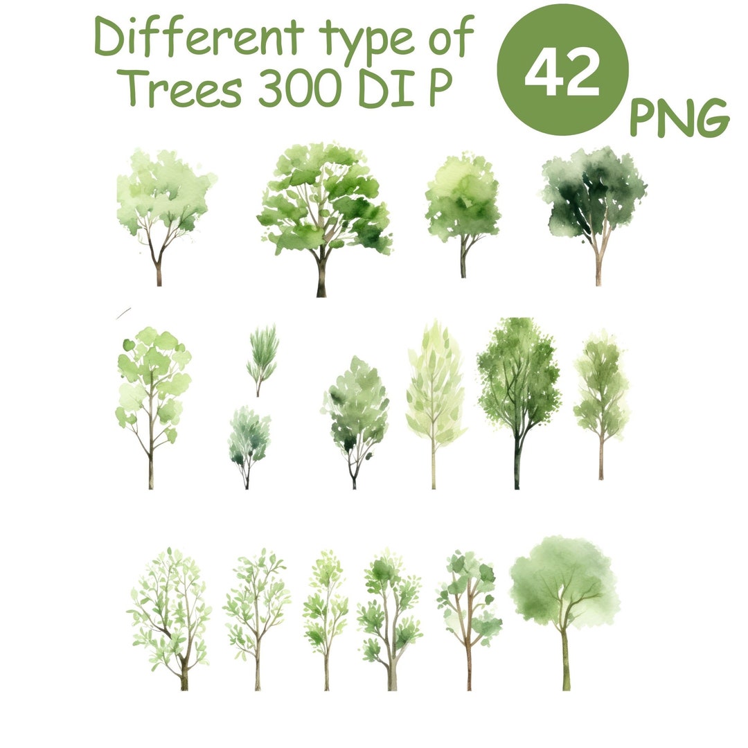 Watercolor Different Types of Trees Bundle PNG, Trees Clip Art, Digital ...