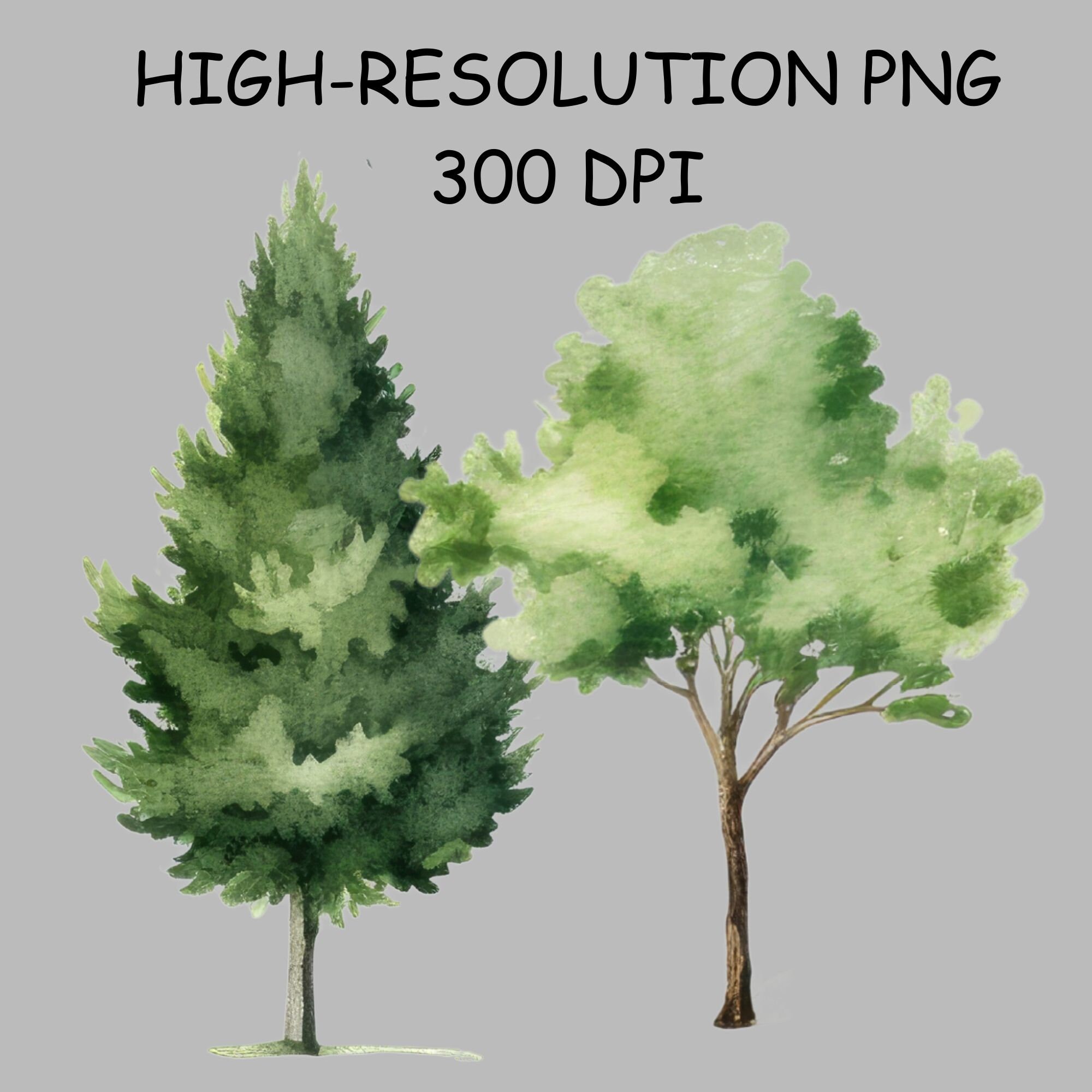 Watercolor Different Types of Trees Bundle PNG, Trees Clip Art, Digital ...
