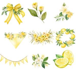Watercolor Lemon Summer Clipart Bundle, Lemonade PNG, Sweet Lemon ...