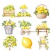 Watercolor Lemon Summer Clipart Bundle, Lemonade PNG, Sweet Lemon ...