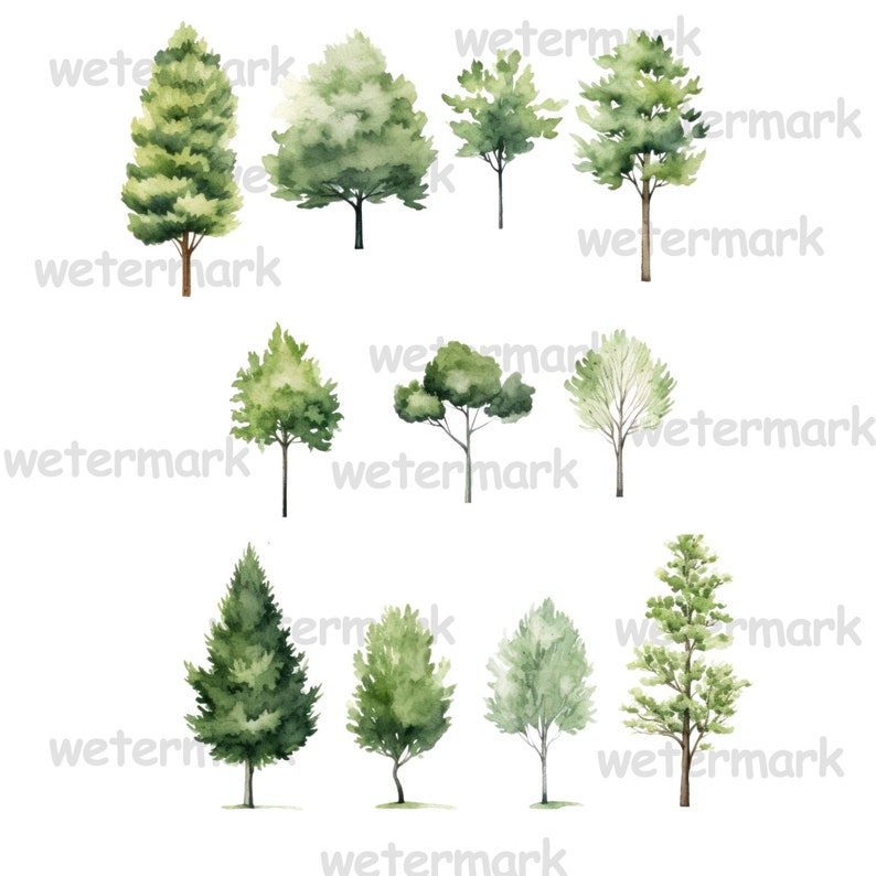 Watercolor Different Types of Trees Bundle PNG, Trees Clip Art, Digital ...