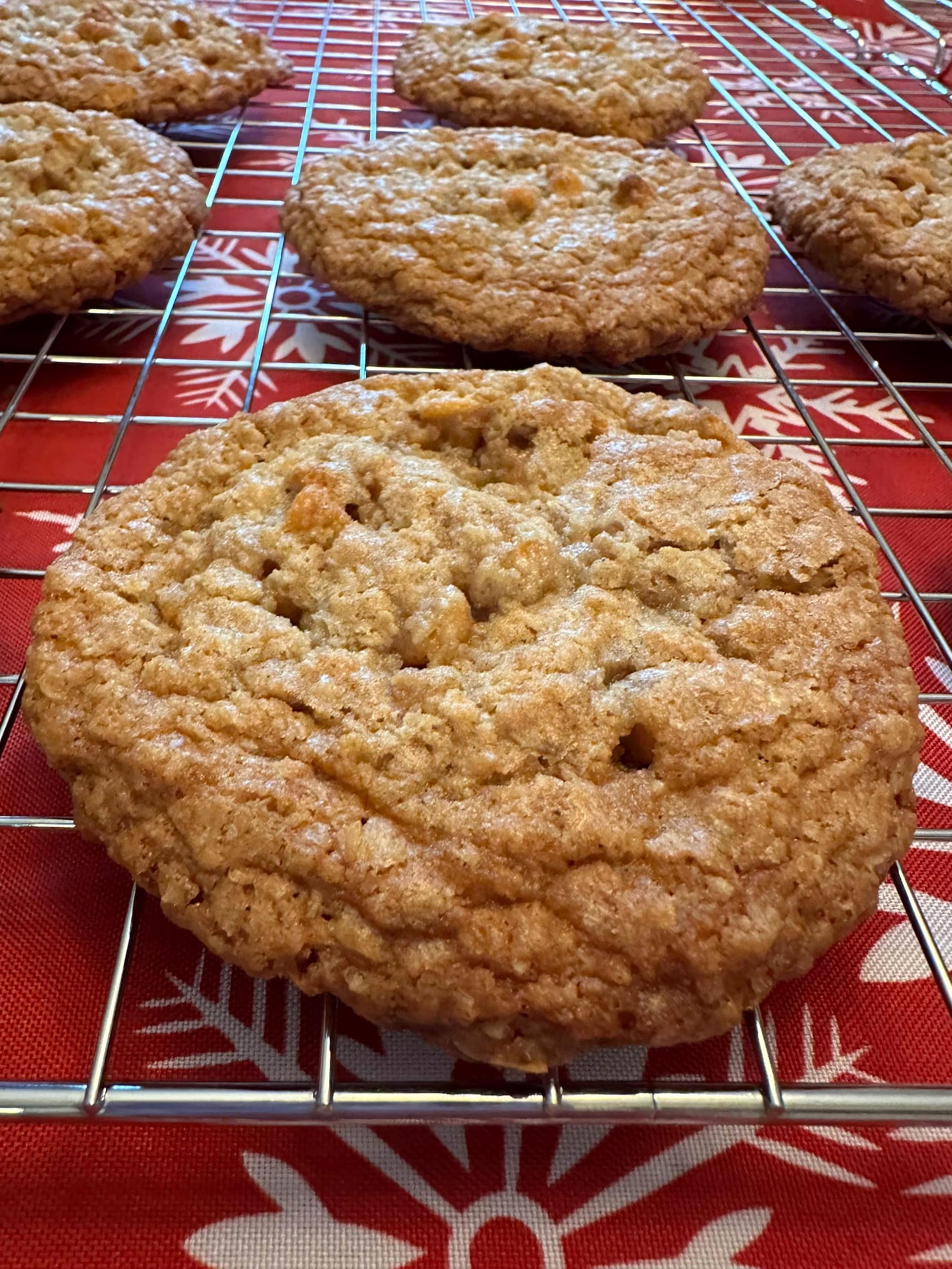 Nora Jean's Gluten-free Oatmeal Butterscotch Chip Cookies in Gift Box ...