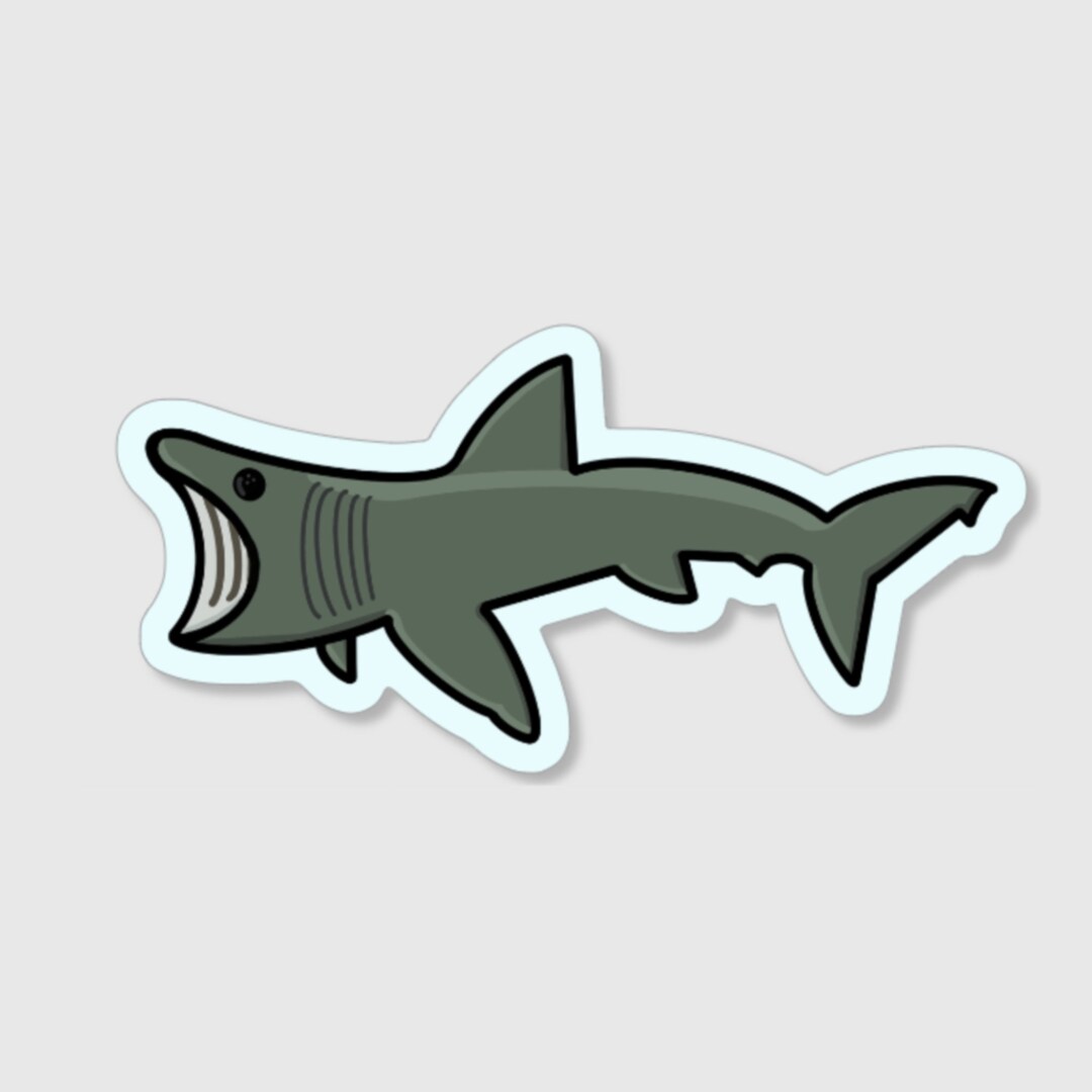 Basking Shark Vinyl Sticker - Etsy