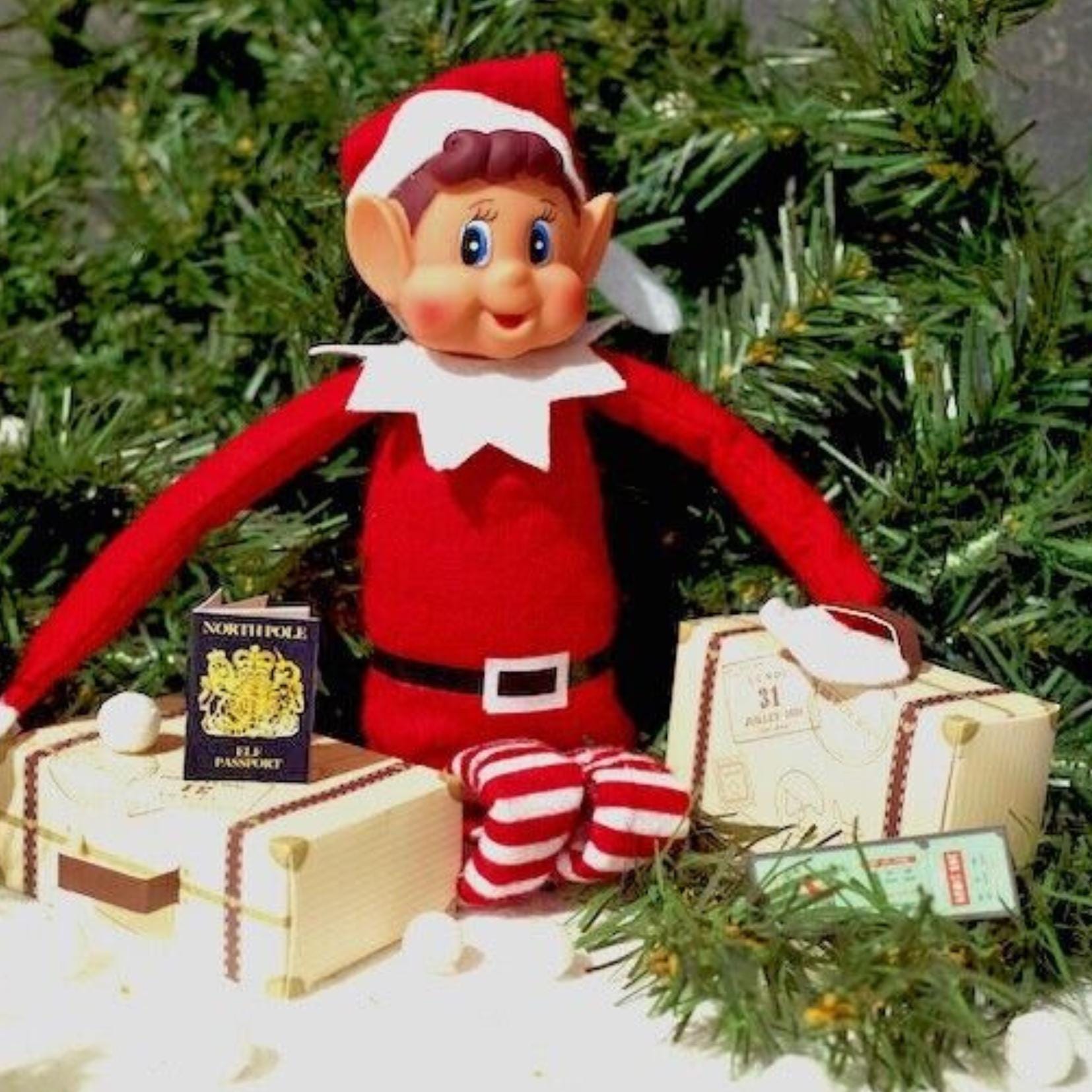 Men's Genuine Cowhide Jacket Mini Elf Passport & Suitcase Bundle - Elf ...