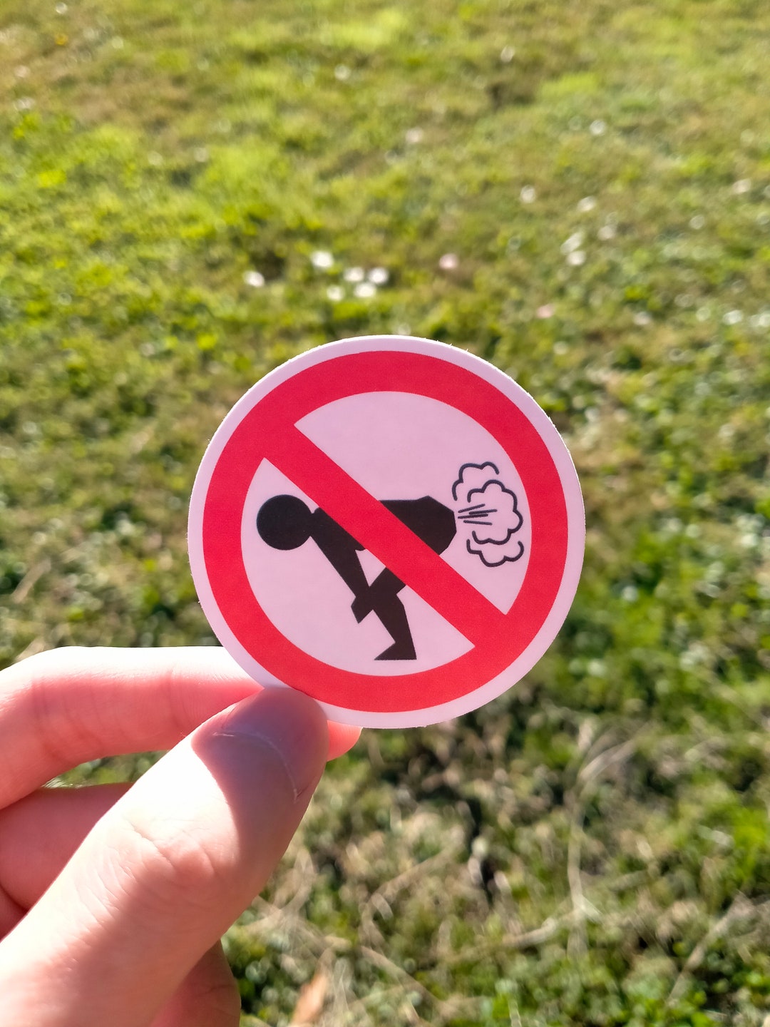 No Farting Funny Meme Sticker Laptop, Water Bottle, Journal, Diary ...
