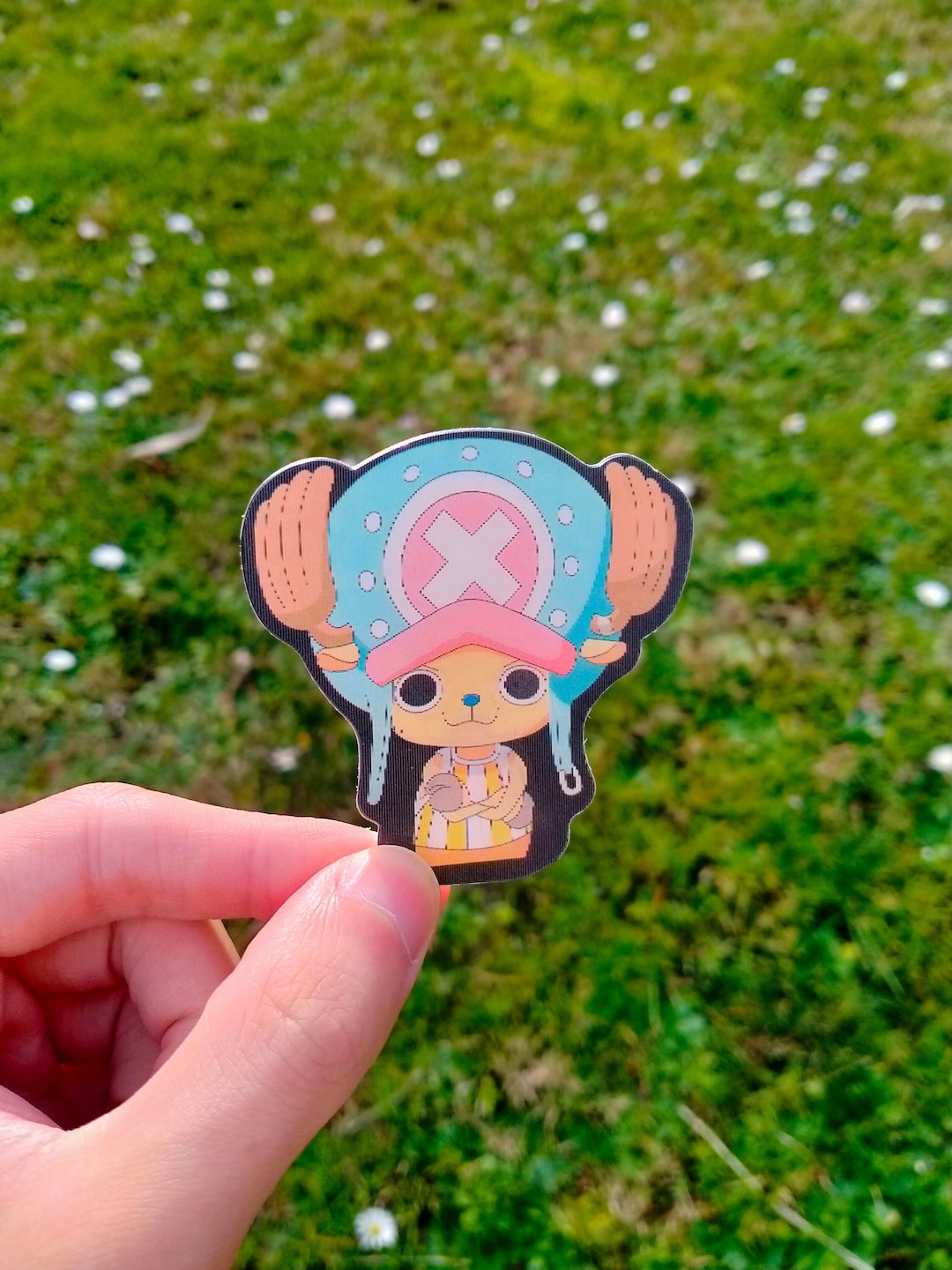 Chopper 3D Anime Motion Sticker Laptop, Phone, Journal, Diary ...