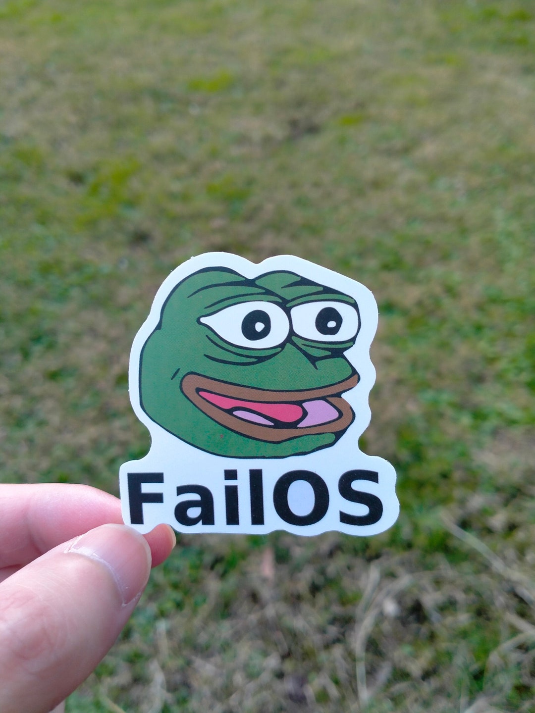 Pepe Frog Failos Sticker Laptop, Water Bottle, Journal, Diary ...