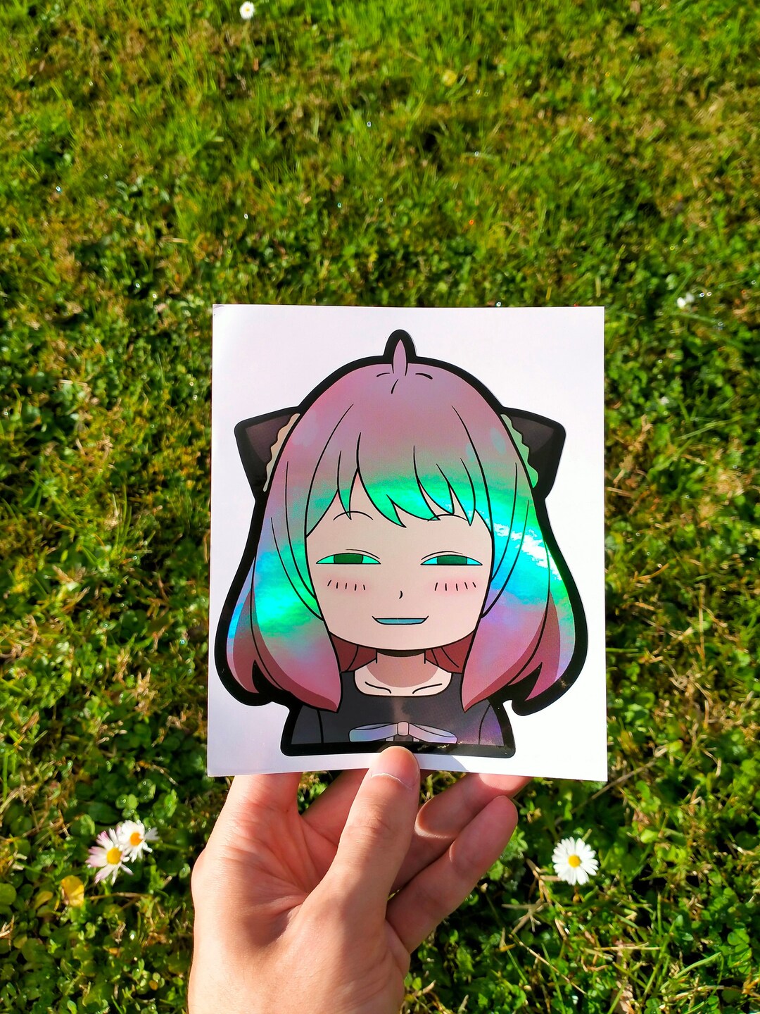 Smug Peanut Holographic Decal Anime Sticker laptop, Car, Journal, Diary ...