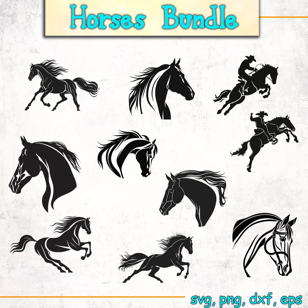 Horse Svg, Horse Png, Rodeo Svg, Horses Svg, Horse Shirt Svg, Horse ...