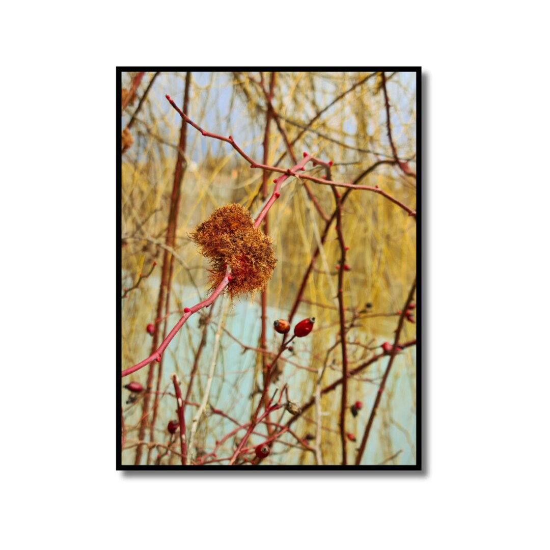Autumn Moss Close-up Print, Earthy Tones, Sepia Background, Nature's ...