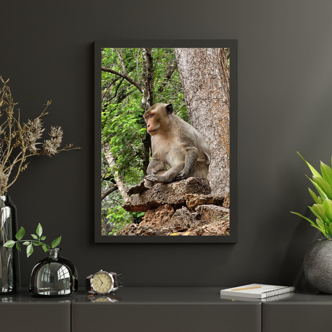 Monkey Meditating Photography Print, Relaxing Long-tailed Macaque ...