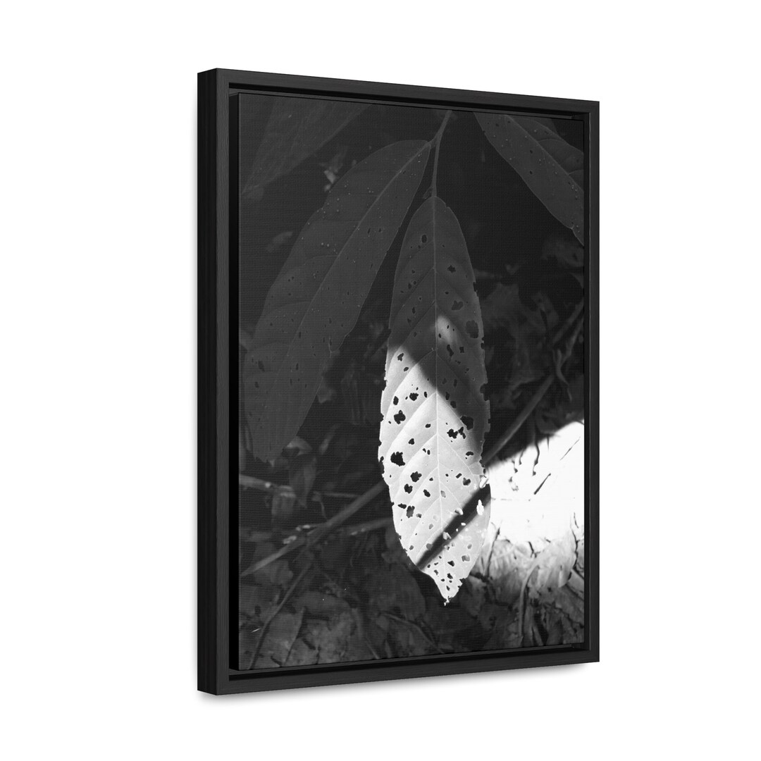 Black and White Leaf Close-up Print on Framed Canva, Elegant Decay ...