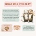 Under the Sea Animals Valentines Clipart Aquatic Animals PNG Cute ...