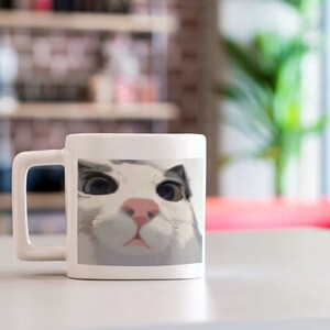 Plink Staring Cat Twitch Emotes Meme Printable SVG Digital Download - Etsy