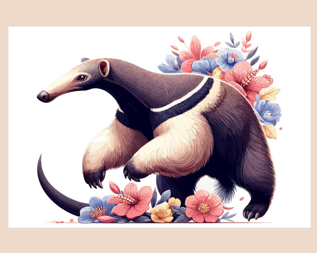 Cute Anteater and Flower Clipart 12 High Quality JPGs Digital Download ...