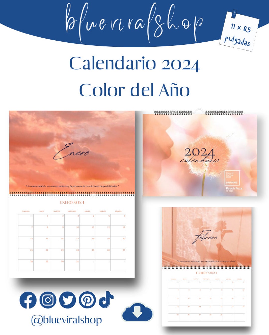 2024 Calendar Color of the Year Peach Fuzz - Etsy