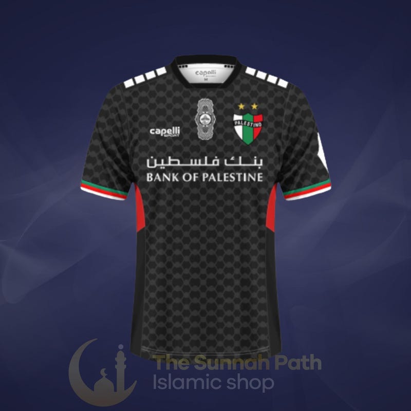 Palestine Mens T Shirt - Etsy