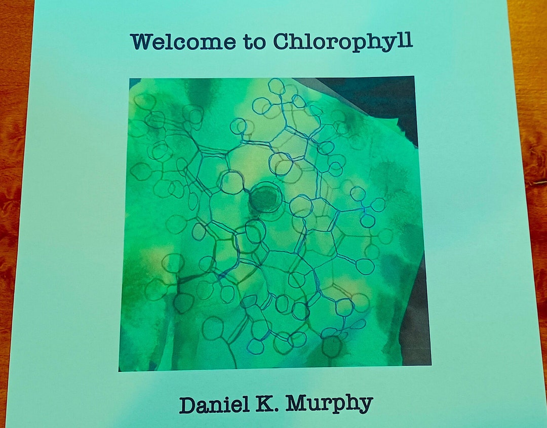 Botany Inspired Ambient Music CD 'welcome to - Etsy