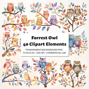 Watercolor Forrest Owl Clipart Set 40 PNG Elements Cute Whimsical ...