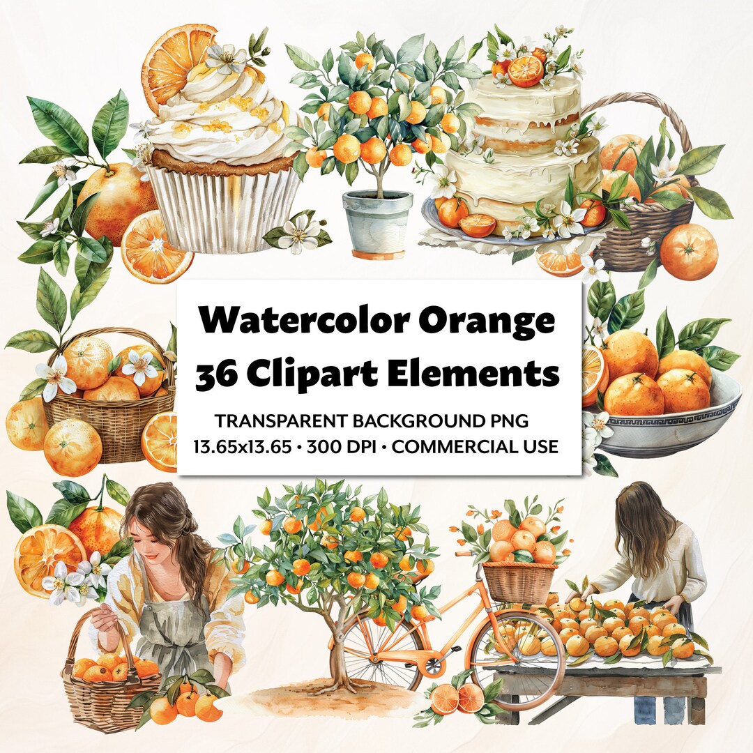 Watercolor Orange Clipart, 36 PNG Files, Citrus Fruit, Summer Orange ...