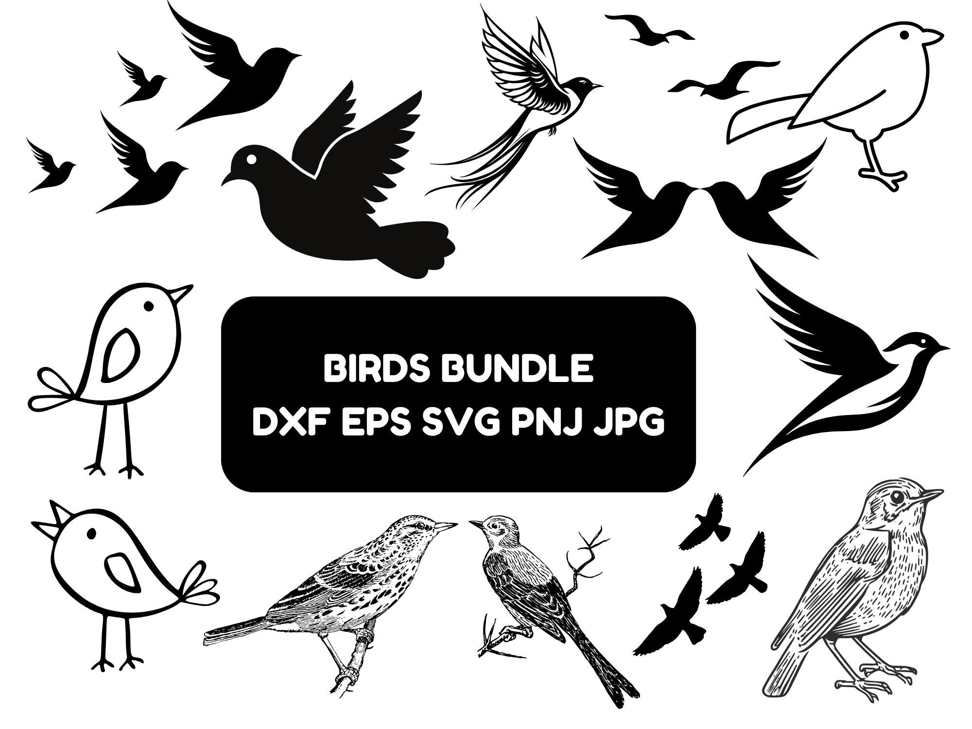 Bird SVG, Bird Svg Bundle, Flying Bird Svg, Animal Svg, Bird Clip Art ...