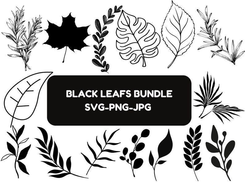 Leaf SVG Bundle, Leaves Svg Bundle, Leaf Clipart, Leaf Svg Cut Files ...
