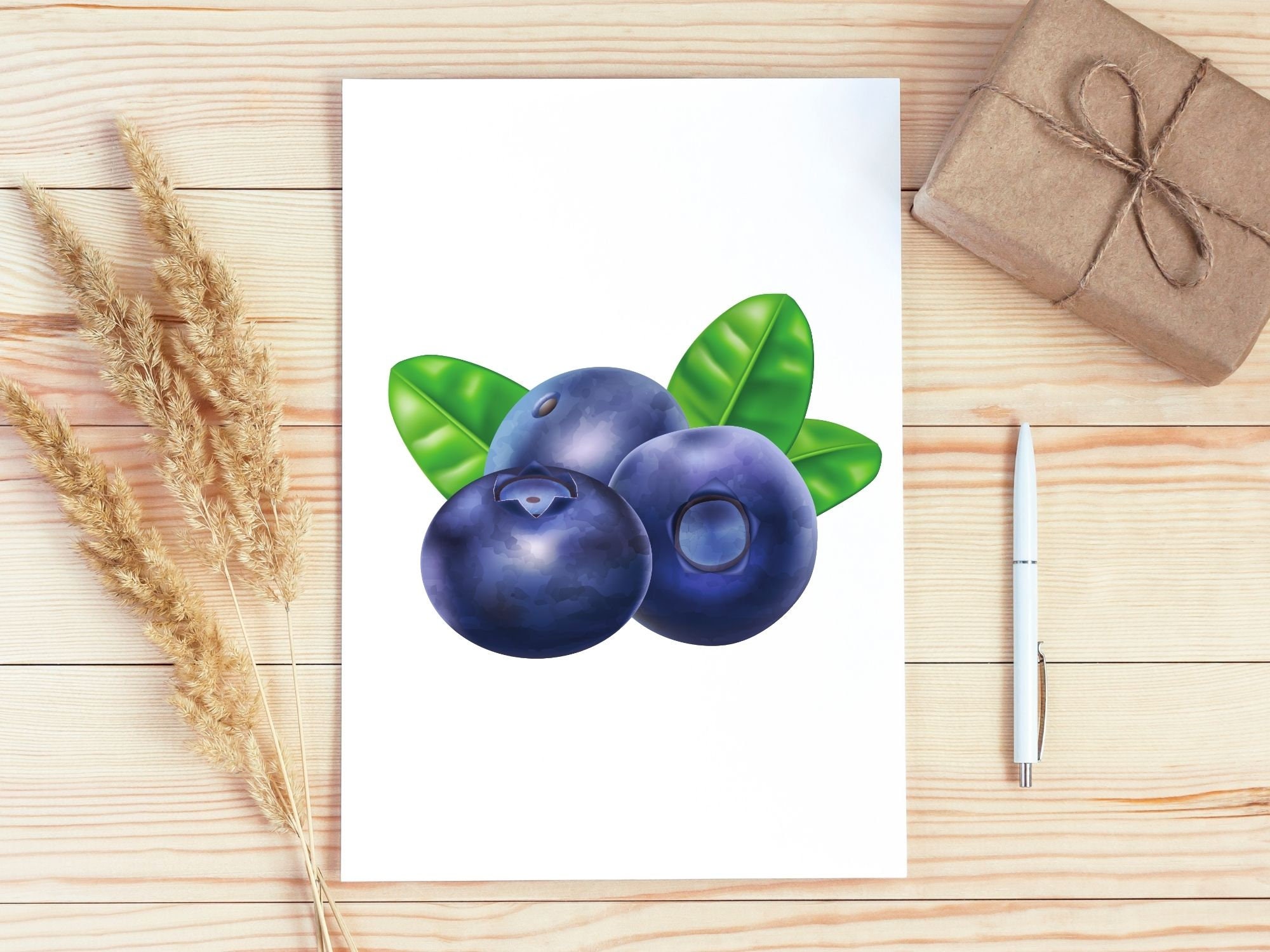 Blueberry Svg Bundle, Fruit Svg, Svg Designs, Blueberry Clipart ...
