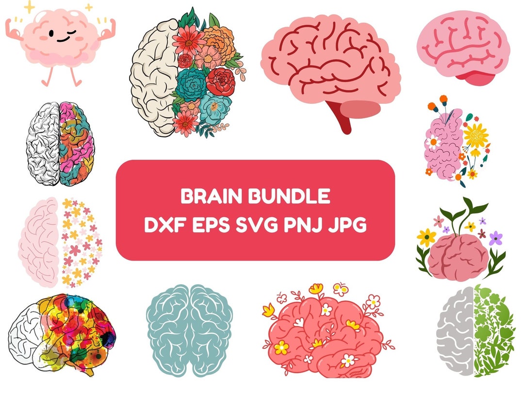 Brain SVG, Brain Cut File, Brain JPG, Brain PNG, Brain Clipart, Brain ...