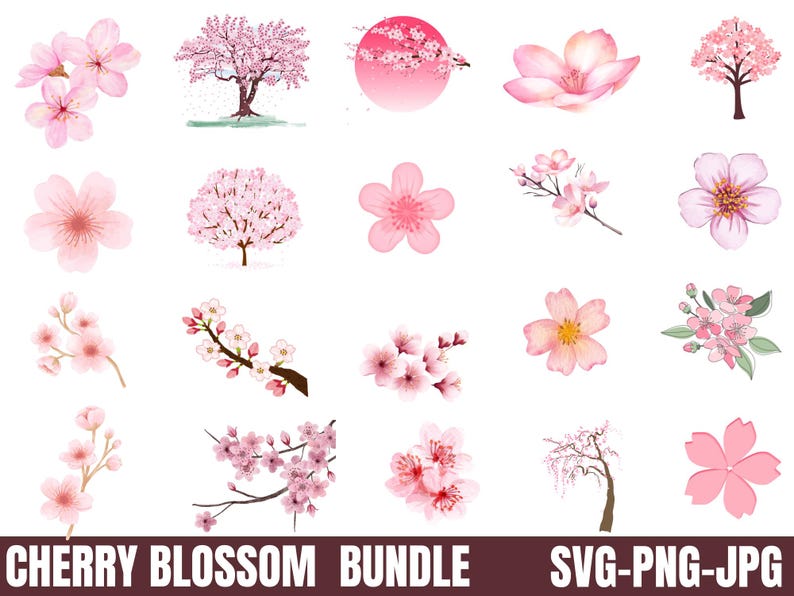 Cherry Blossom Clipart: Sakura Flower SVG, PNG, JPG (digital Download ...