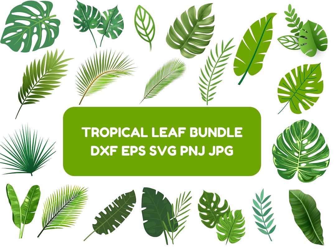 Leaves SVG Bundle, Hand Drawn Leaves SVG, Plant Svg, Paper Leaves, Leaf ...