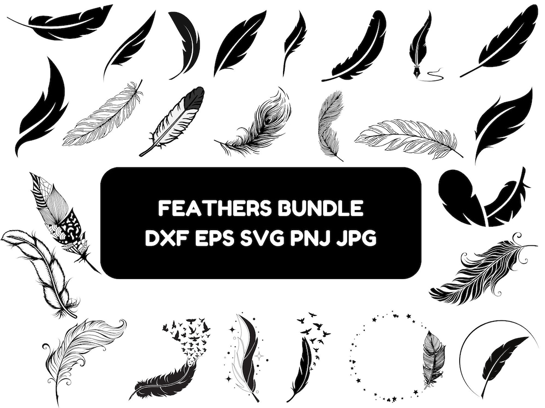 Feather Svg Bundle, Feather Birds Svg, Dxf, Png, Jpg, Feathers ...
